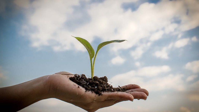 Ron Piper Coaching & Training | Coaching and training for personal and ...